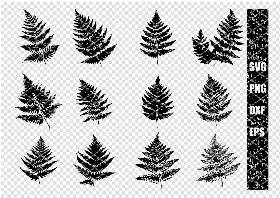 FERN SVG, FERN Svg Files for Cricut, Fern Clipart, Laser Cut Files - Etsy