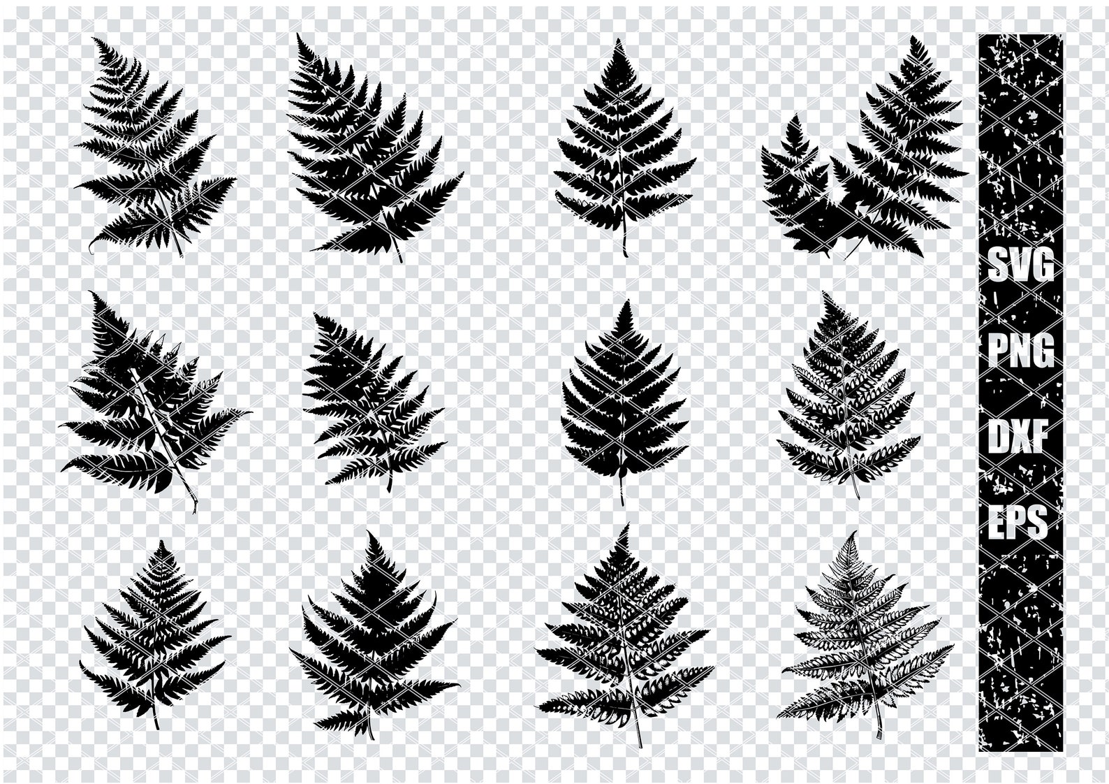 FERN SVG, FERN Svg Files for Cricut, Fern Clipart, Laser Cut Files - Etsy