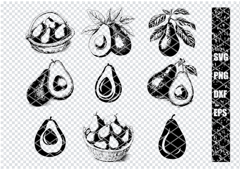 AVOCADO SVG, AVOCADOS Svg Files for Cricut, Avocado Clipart, Laser Cut ...