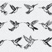 PELICAN WATER BIRD Svg, Pelican Seabird Svg Files for Cricut, Coastal ...
