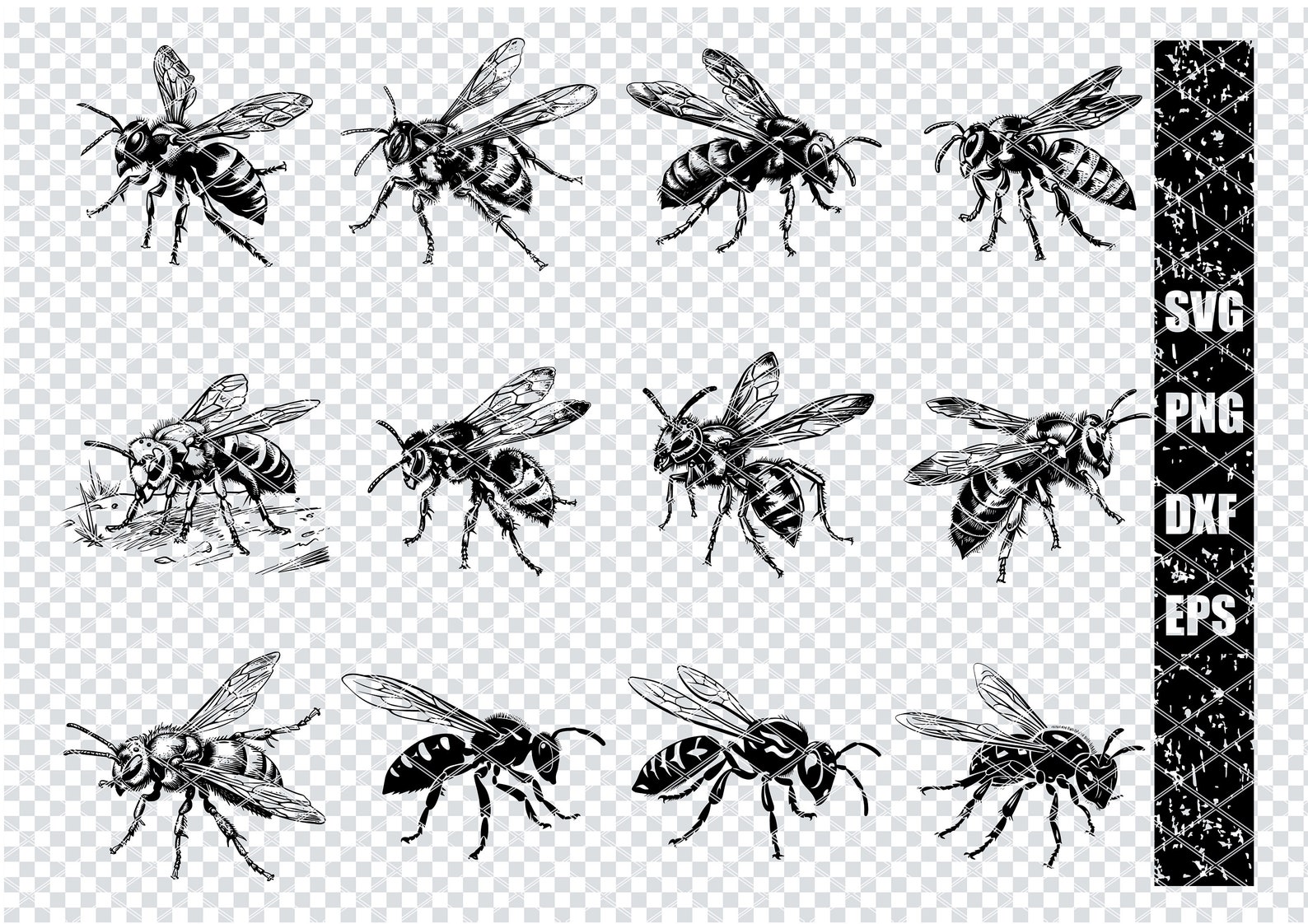 HORNET SVG, HORNET Insect Svg Files for Cricut, Hornet Clipart, Laser ...