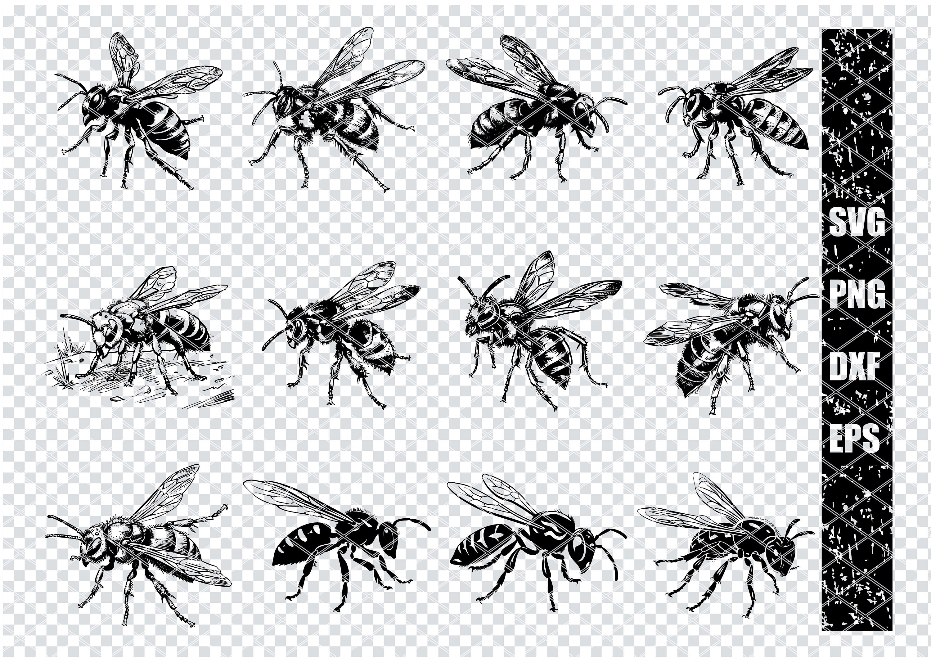 HORNET SVG, HORNET Insect Svg Files for Cricut, Hornet Clipart, Laser ...