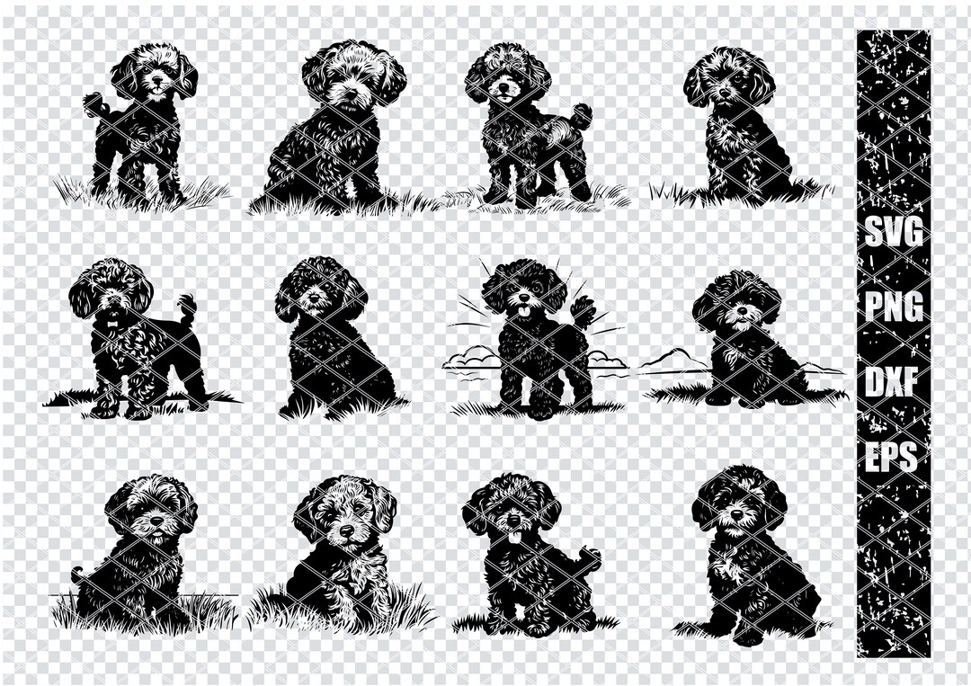 TOY POODLE SVG, Poodle Svg Cut Files for Cricut, Small Breed Dog Svg ...
