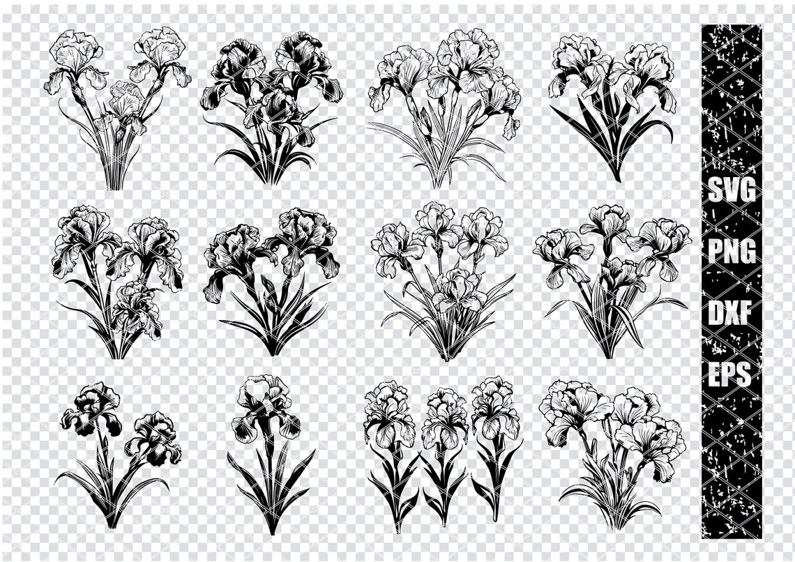 IRIS FLOWER BLOOMS Svg, Iris Bouquet Svg Files for Cricut, Floral Iris ...