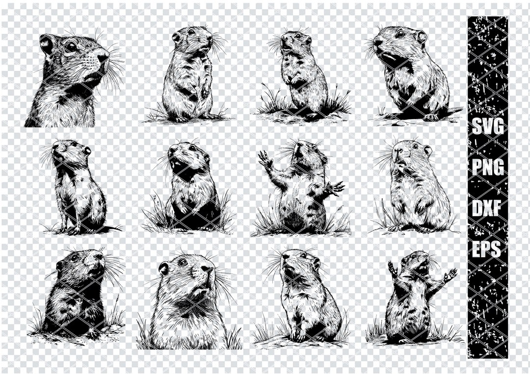 GOPHER SVG, GOPHER Svg Files for Cricut, Gopher Clipart, Laser Cut ...