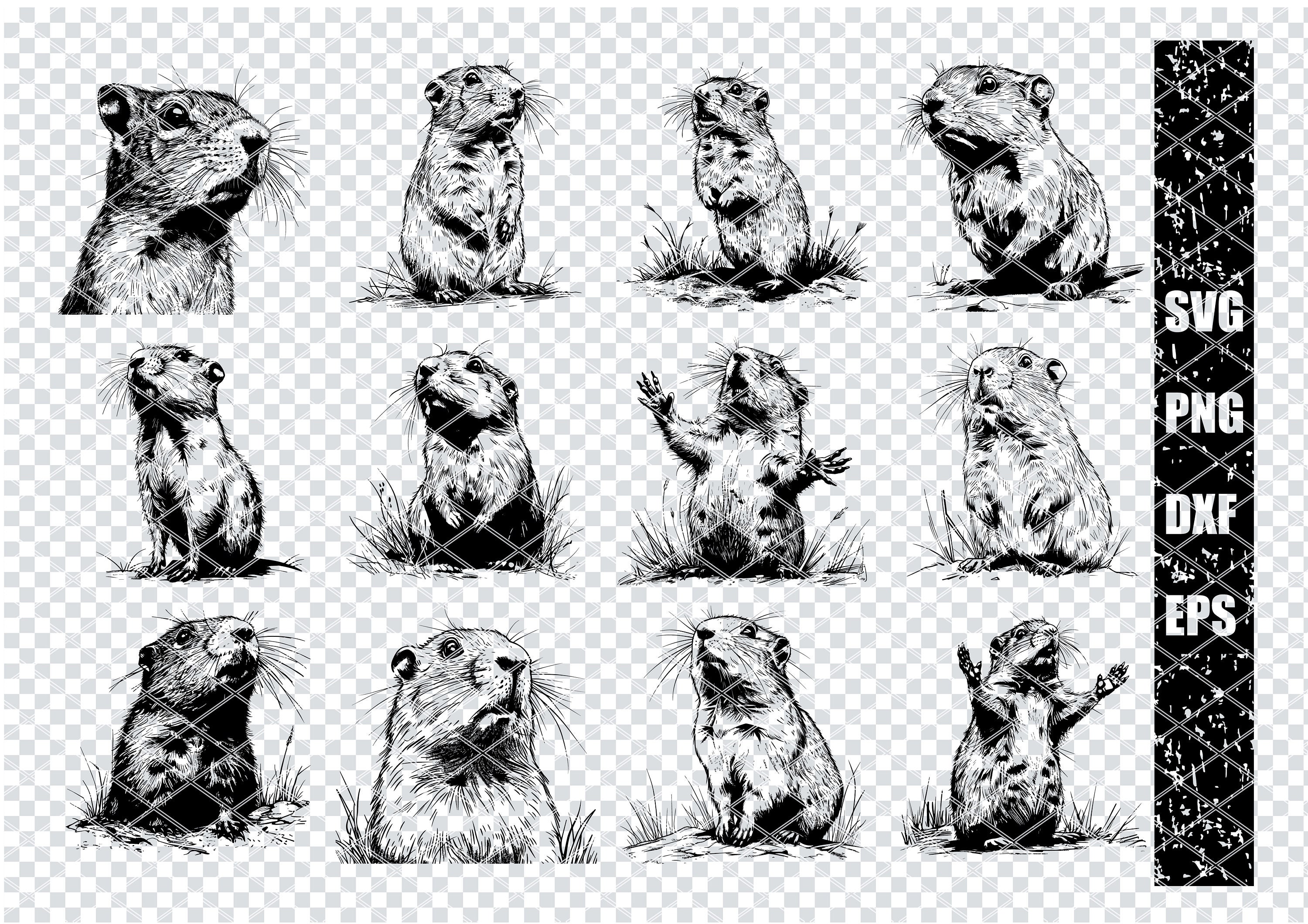 GOPHER SVG, GOPHER Svg Files for Cricut, Gopher Clipart, Laser Cut ...