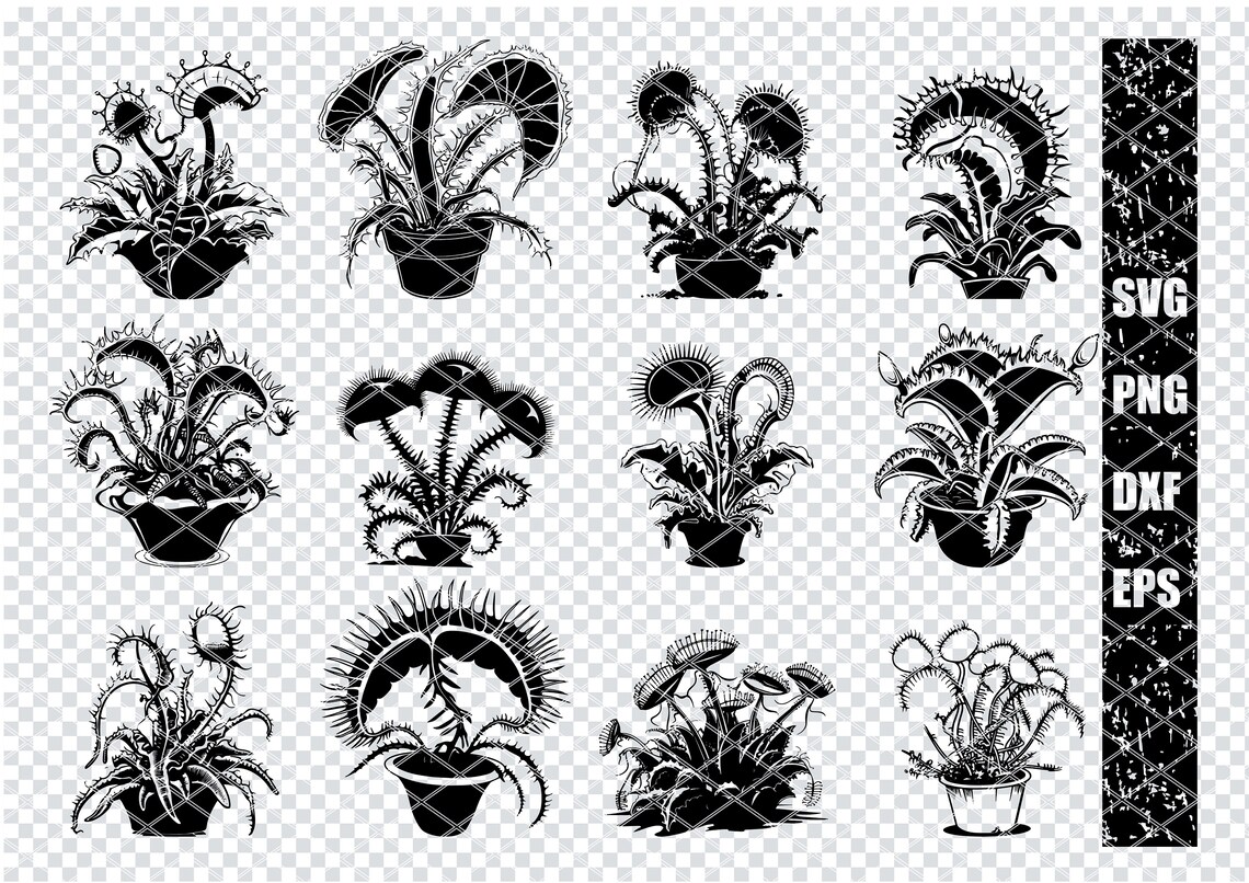 VENUS FLYTRAP SVG, Carnivorous Plant Svg Svg Files for Cricut, Insect ...