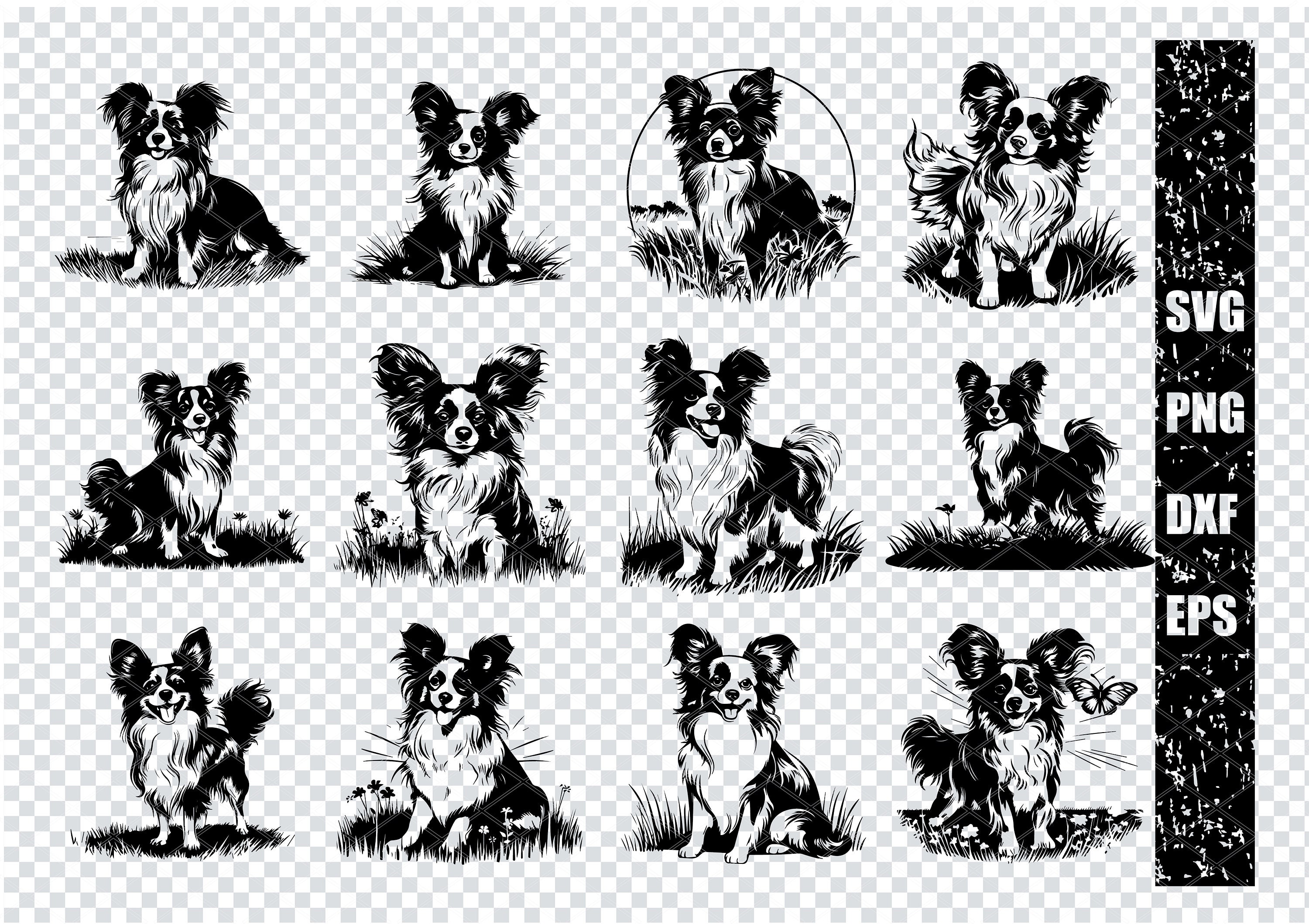 PAPILLON SVG, PAPILLON Clipart, Papillon Svg Files for Cricut, Papillon ...