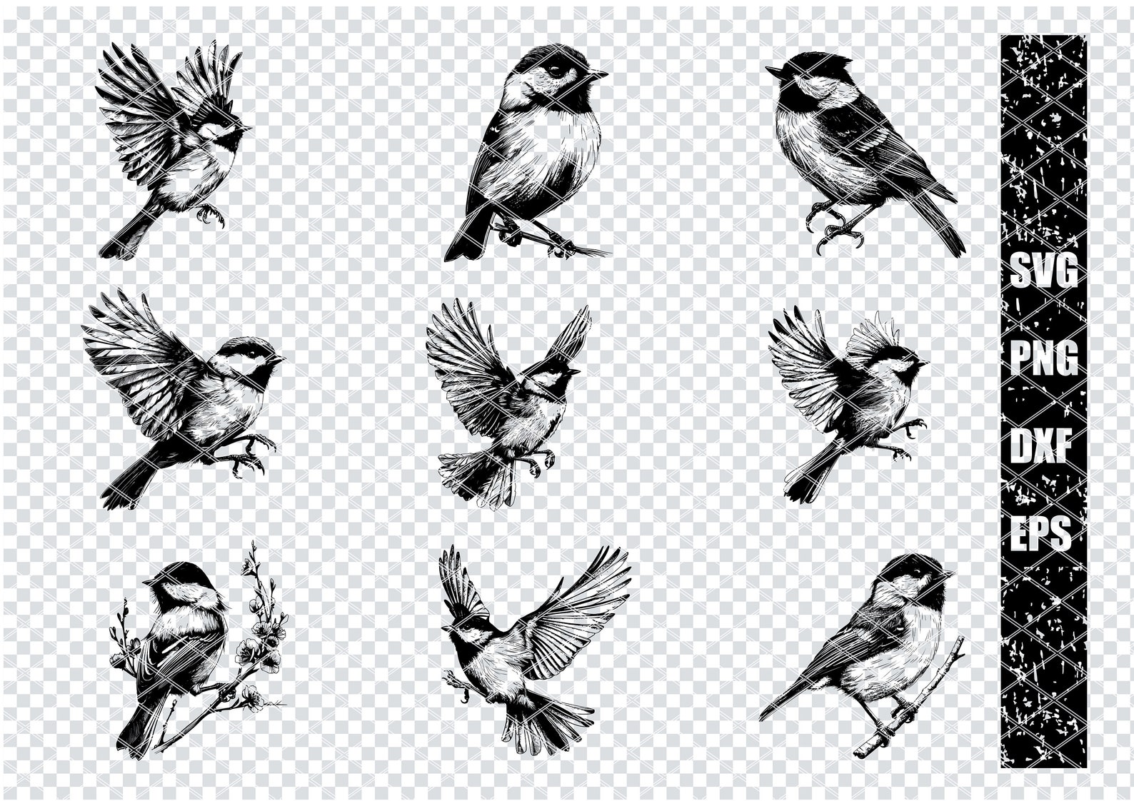 CHICKADEE BIRD SVG, Chickadee Bird Svg Files for Cricut, Chickadee Bird ...