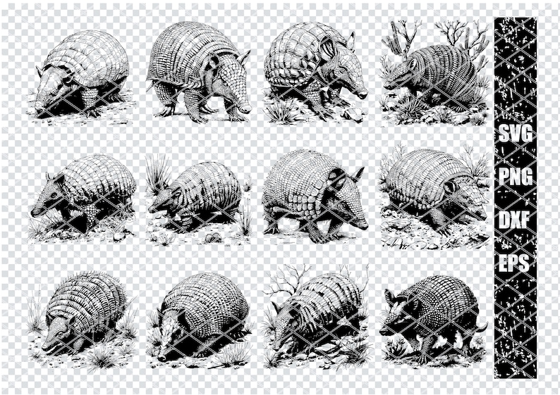 ARMADILLO SVG, ARMADILLO Svg Files for Cricut, Armadillo Clipart, Laser ...