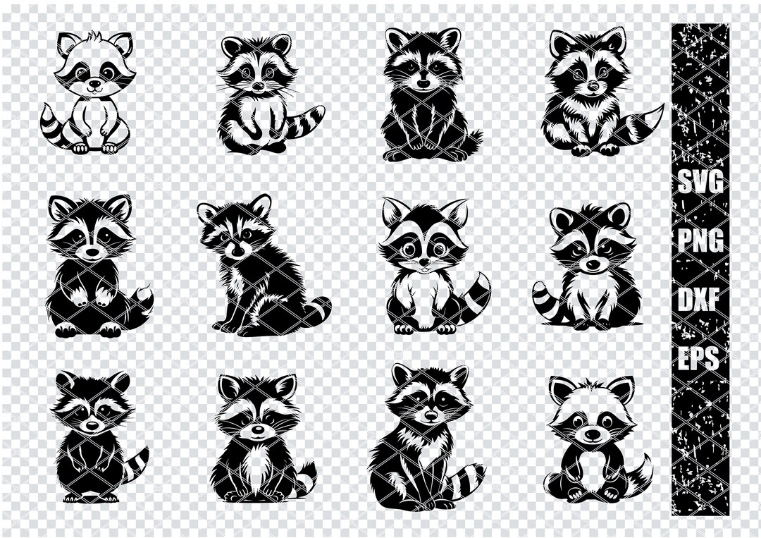 CUTE BABY RACCOON Svg, Adorable Raccoon Svg Files for Cricut, Tiny Baby ...