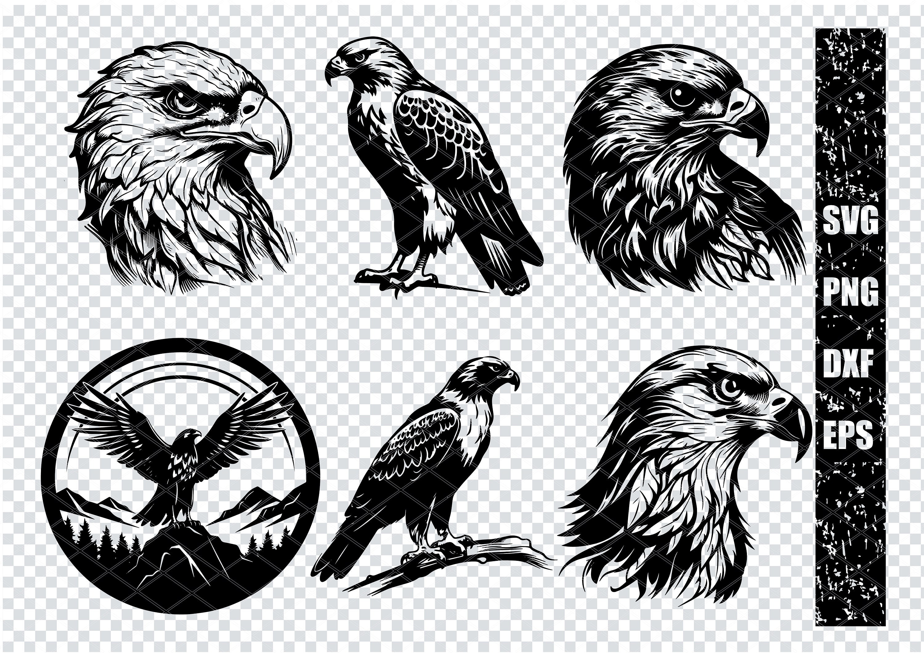 HAWK SVG, HAWK Clipart, Evergreen Pines Svg Files for Cricut, Camping ...