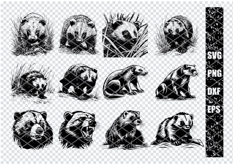 HONEY BADGER SVG, Honey Badger Svg Files for Cricut, Honey Badger ...
