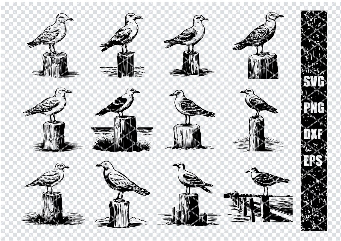 SEAGULL BIRD SVG, Sea Bird Svg Files for Cricut, Seagull Clipart ...