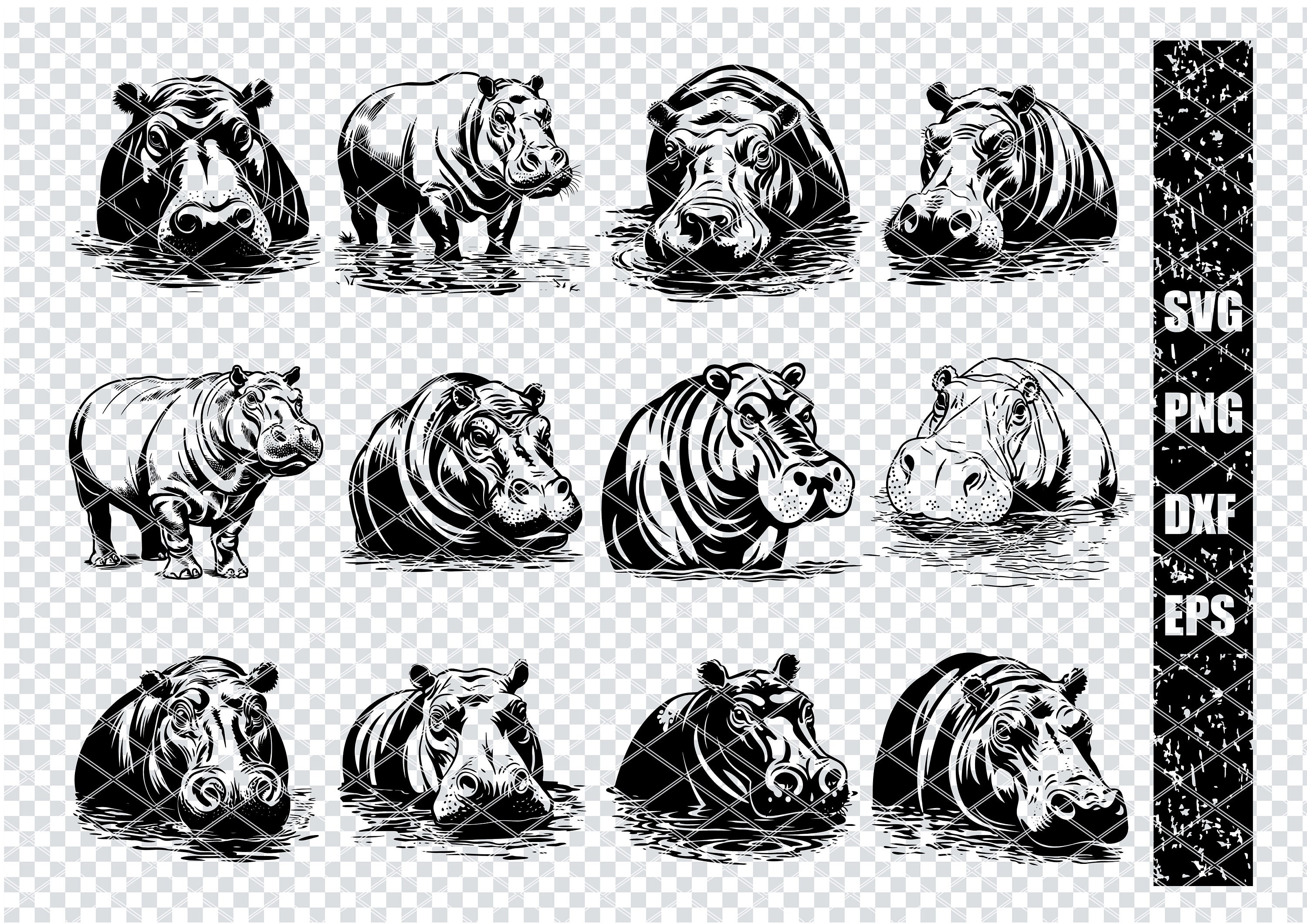 AFRICAN HIPPOPOTAMUS HERBIVORE Svg, River Horse Hippo Svg Files for ...