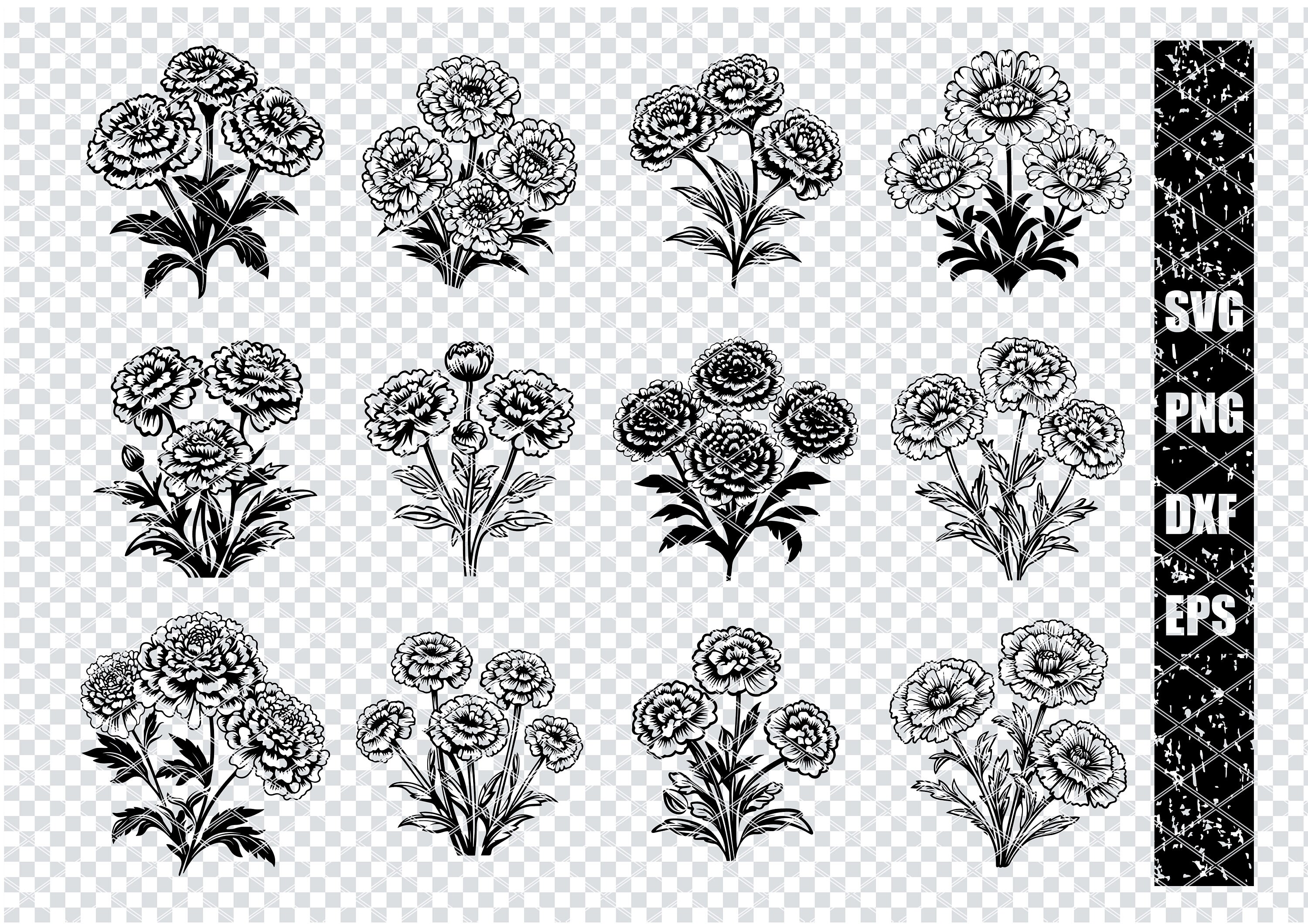 MARIGOLD FLOWER BLOOMS Svg, Marigold Bouquet Svg Files for Cricut ...