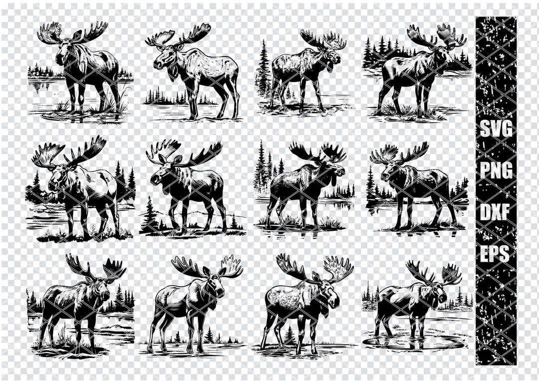 MOOSE by WATER SVG, Moose in River Svg Files for Cricut, Wild Moose by ...