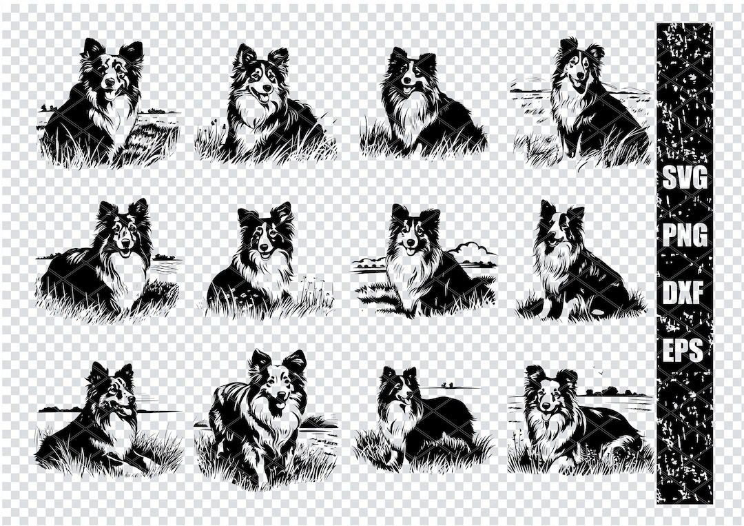 SHELTIE SHETLAND SHEEPDOG Svg, Sheltie Shetland Sheepdog Svg Files for ...