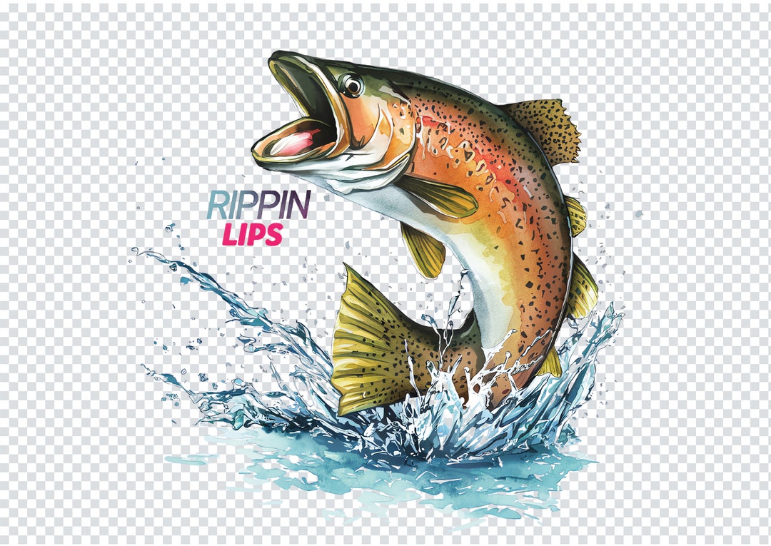 Jumping Trout Watercolor Illustration, Fishing Art Print, Freshwater ...