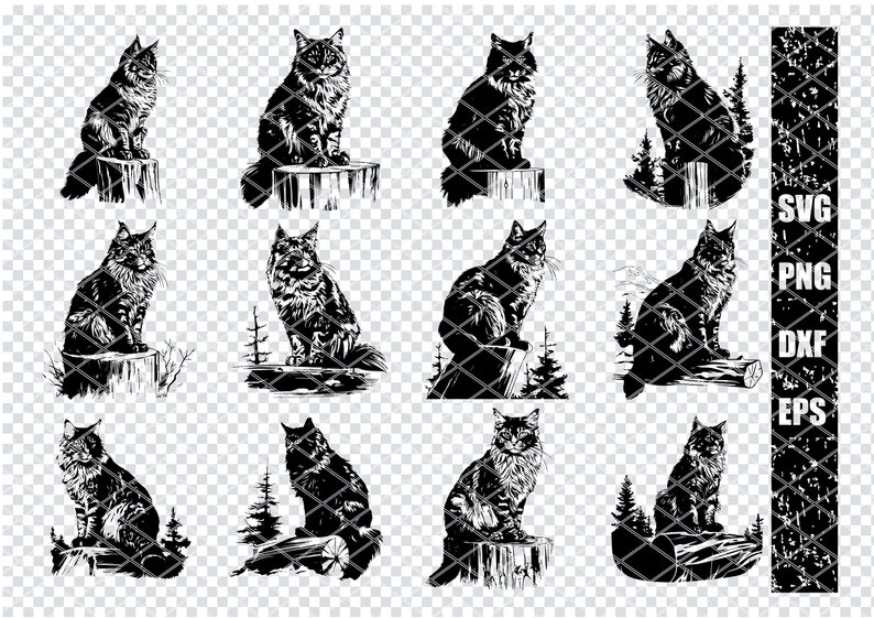 MAINE COON CAT Svg, Giant Maine Coon Cat Svg Files for Cricut, Longhair ...