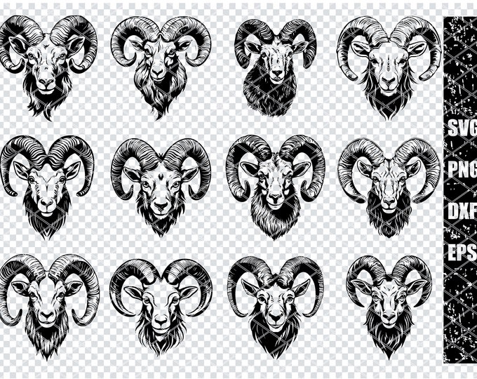 Bighorn Ram 4 Vector Eps / Ai / Svg / Pdf / Dxf / Png / Jpeg Bighorn ...