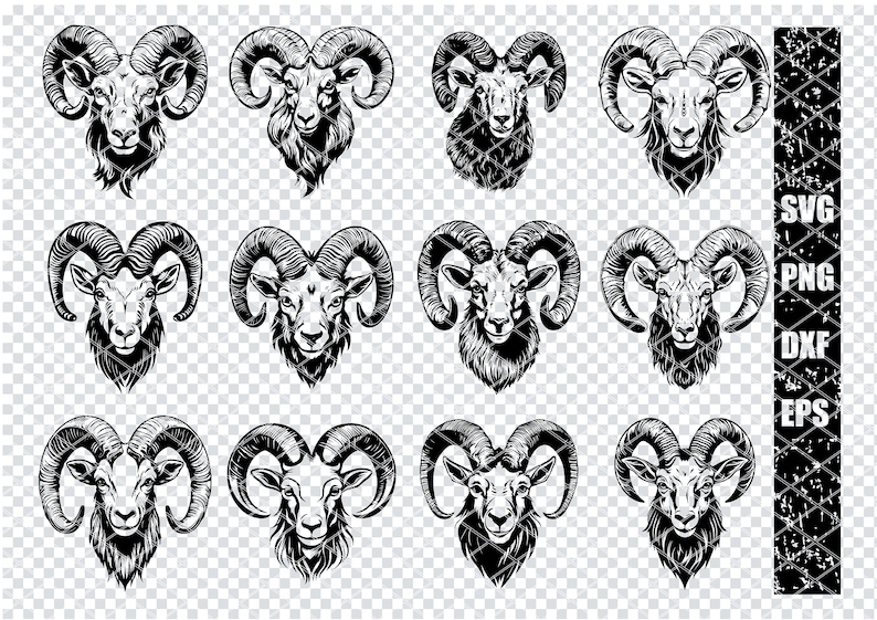 BIGHORN RAM SHEEP Svg, Bighorn Ram Ovis Svg Files for Cricut, Bighorn ...