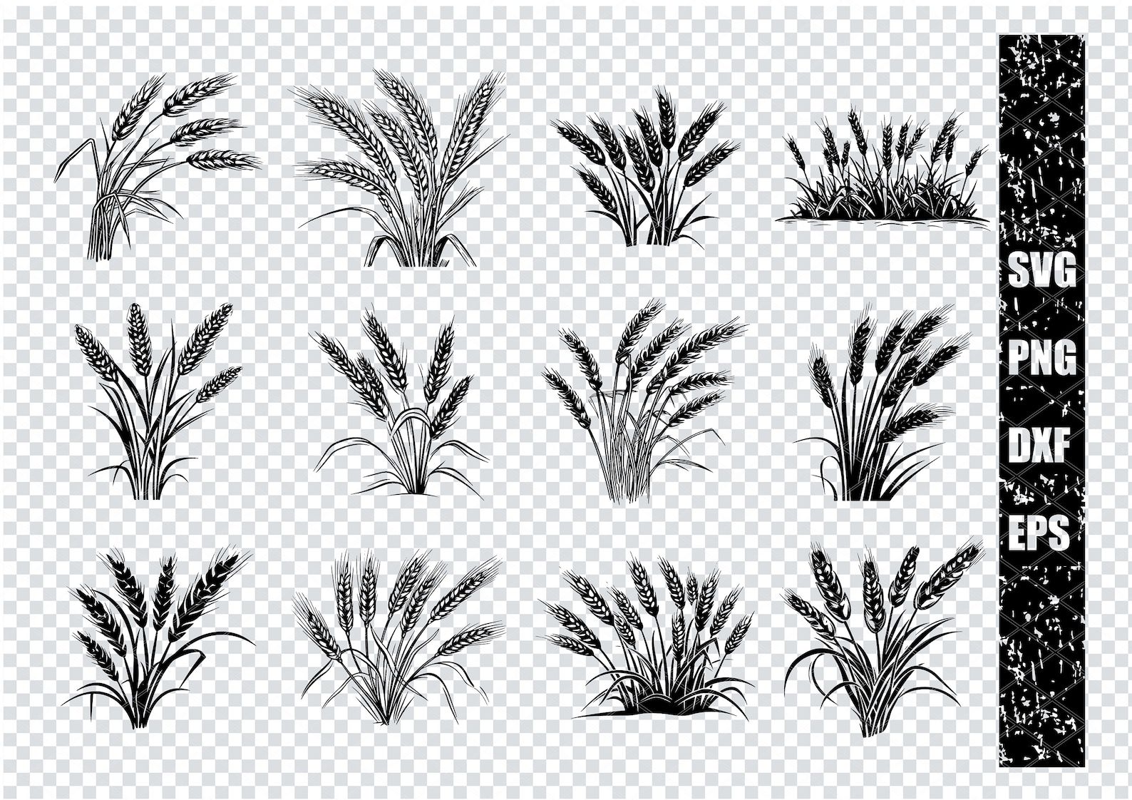 BARLEY SVG Bundle, GRAIN Svg Cut Files for Cricut, Wheat Clipart ...
