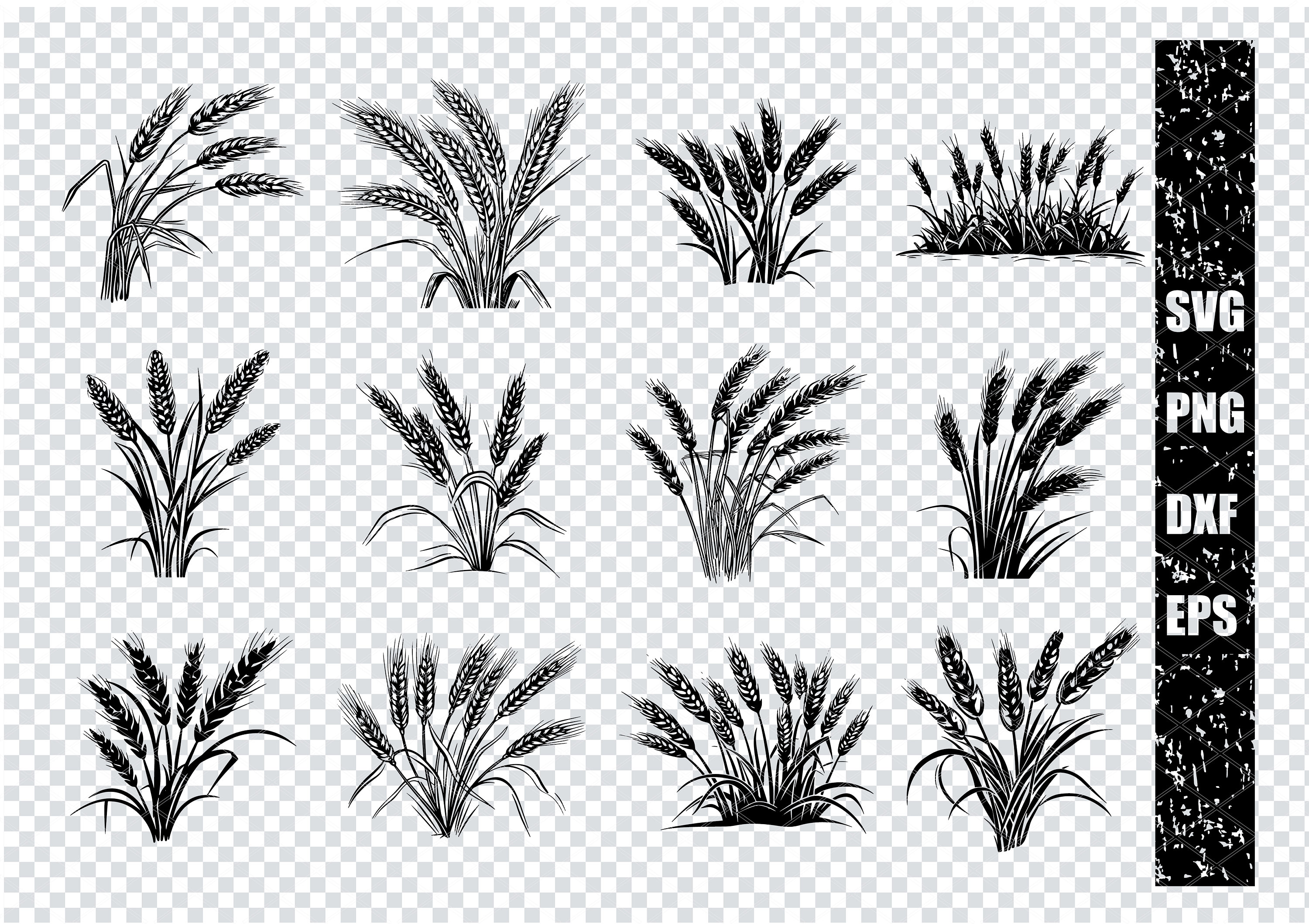 BARLEY SVG Bundle, GRAIN Svg Cut Files for Cricut, Wheat Clipart ...