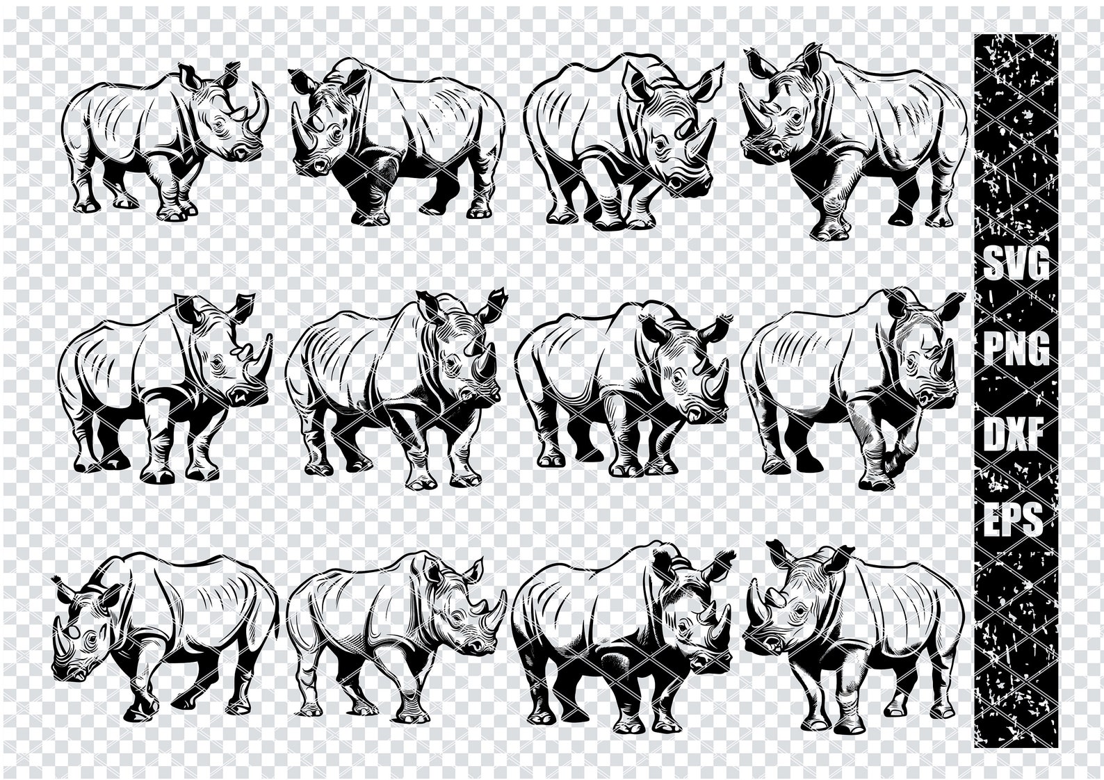 AFRICAN RHINOCEROS SVG, Indian Rhino Svg Files for Cricut, Sumatra ...