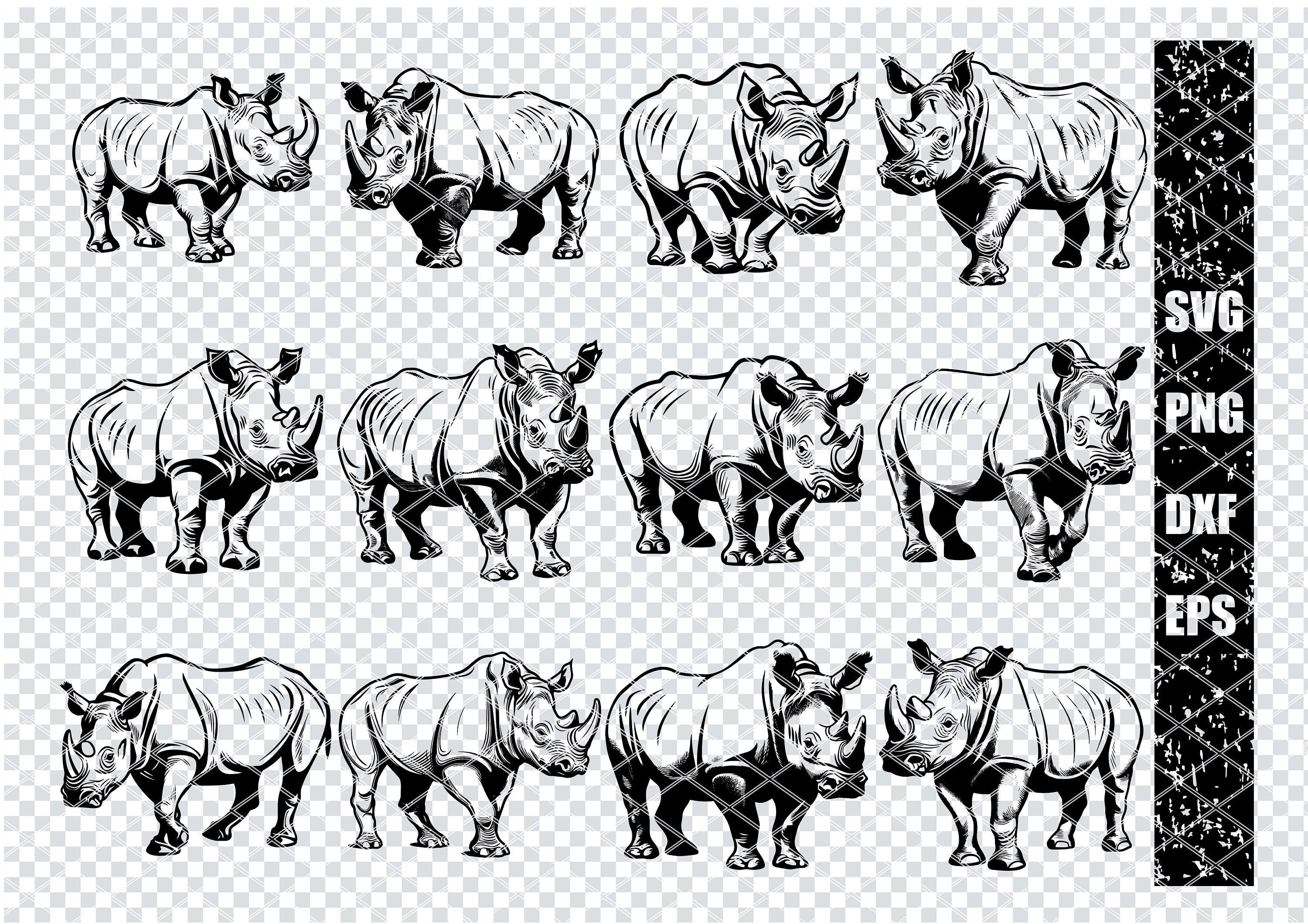 AFRICAN RHINOCEROS SVG, Indian Rhino Svg Files for Cricut, Sumatra ...