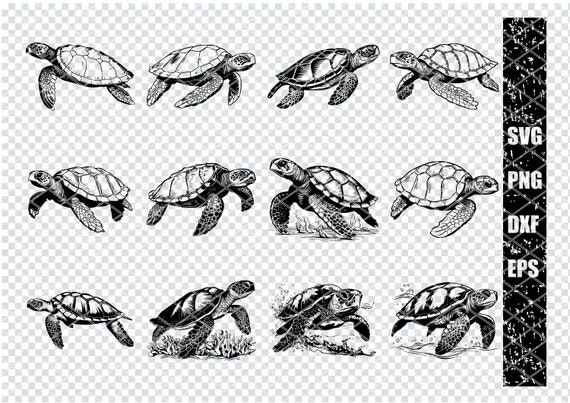 Black And White Sea Turtle Clipart