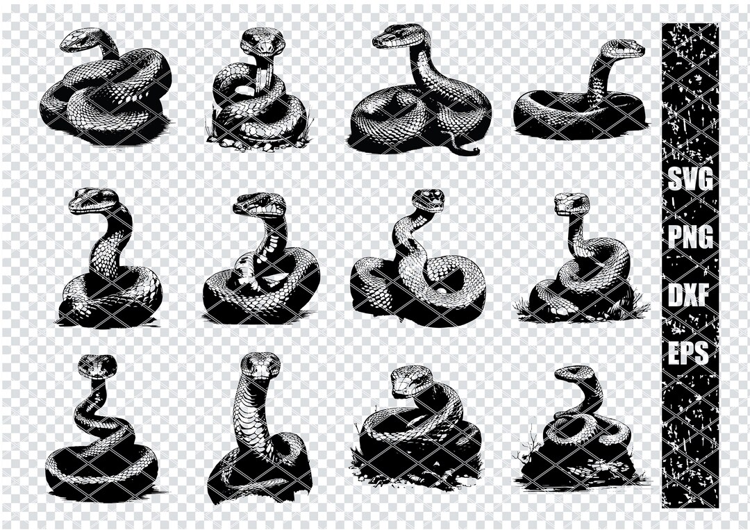 SNAKE SVG, SNAKE Svg Files for Cricut, Rattlesnake Clipart, Laser Cut ...