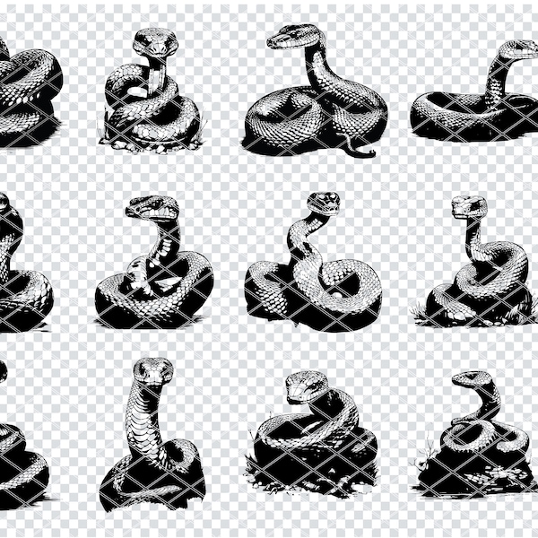 Rattlesnake Svg - Etsy