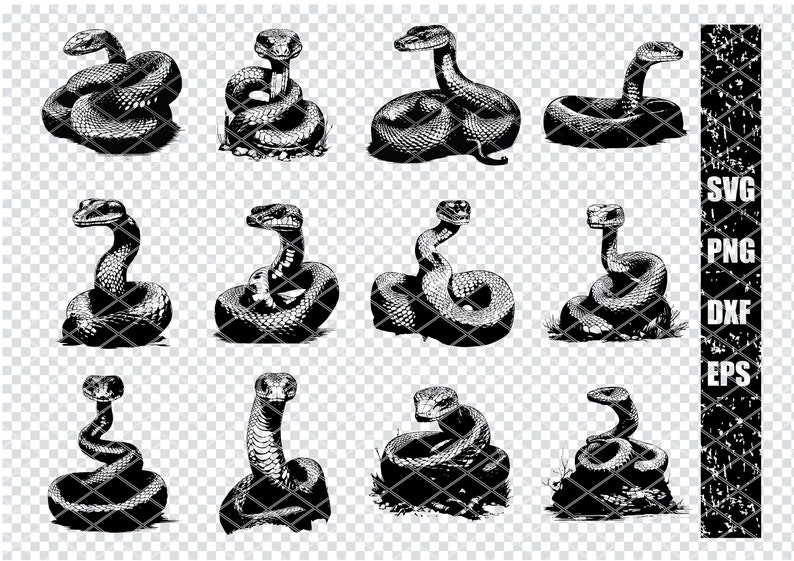 SNAKE SVG, SNAKE Svg Files for Cricut, Rattlesnake Clipart, Laser Cut ...