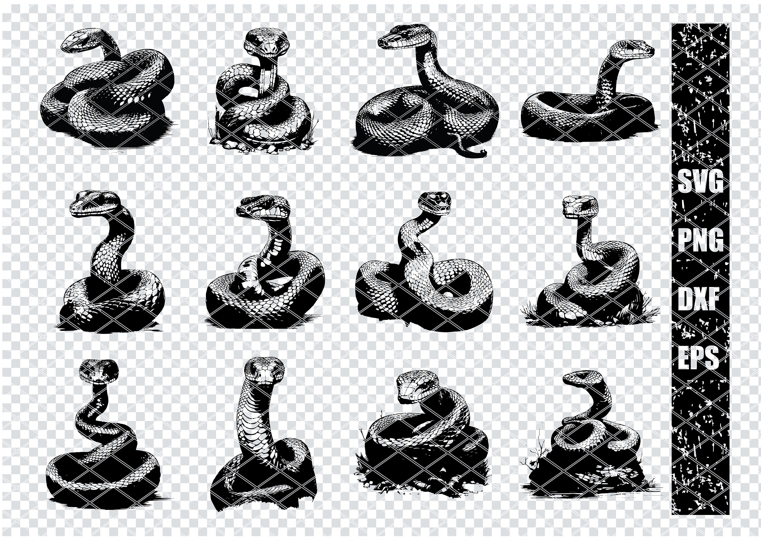 SNAKE SVG, SNAKE Svg Files for Cricut, Rattlesnake Clipart, Laser Cut ...