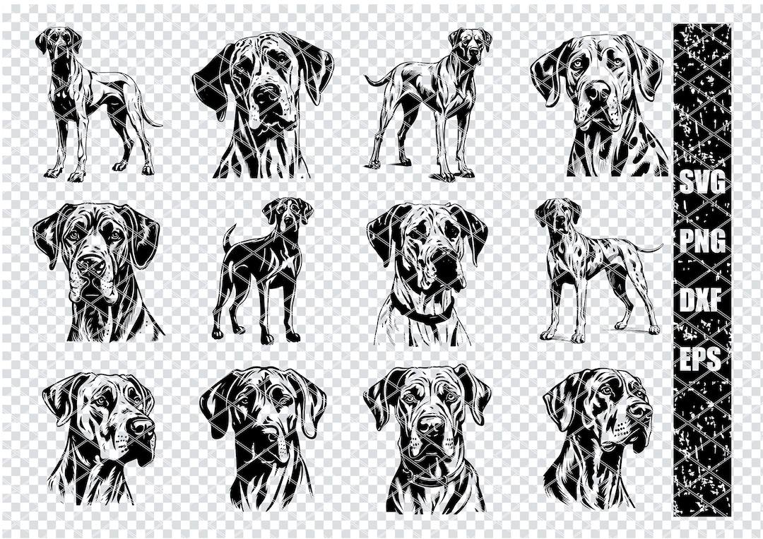GREAT DANE DOG Svg, Great Dane Large Canine Svg Files for Cricut, Great ...