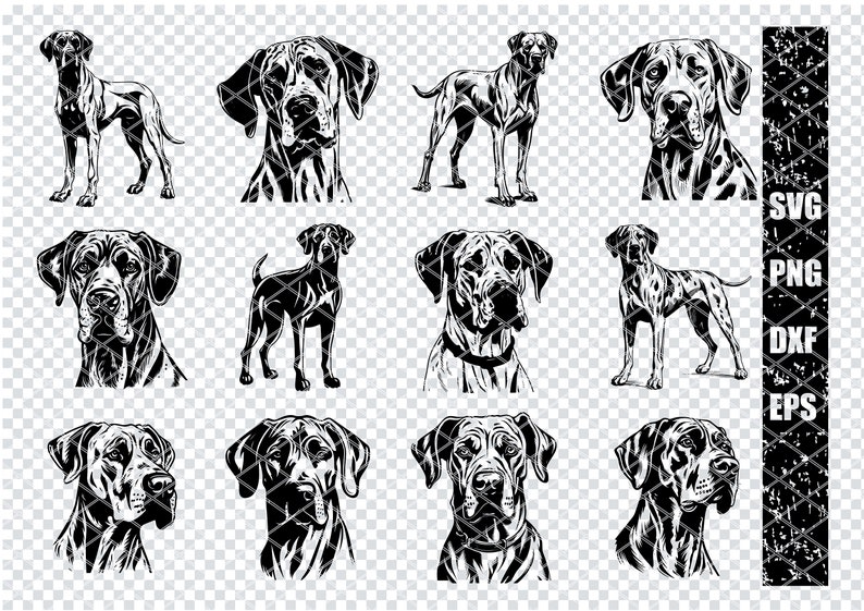 GREAT DANE DOG Svg, Great Dane Large Canine Svg Files for Cricut, Great ...