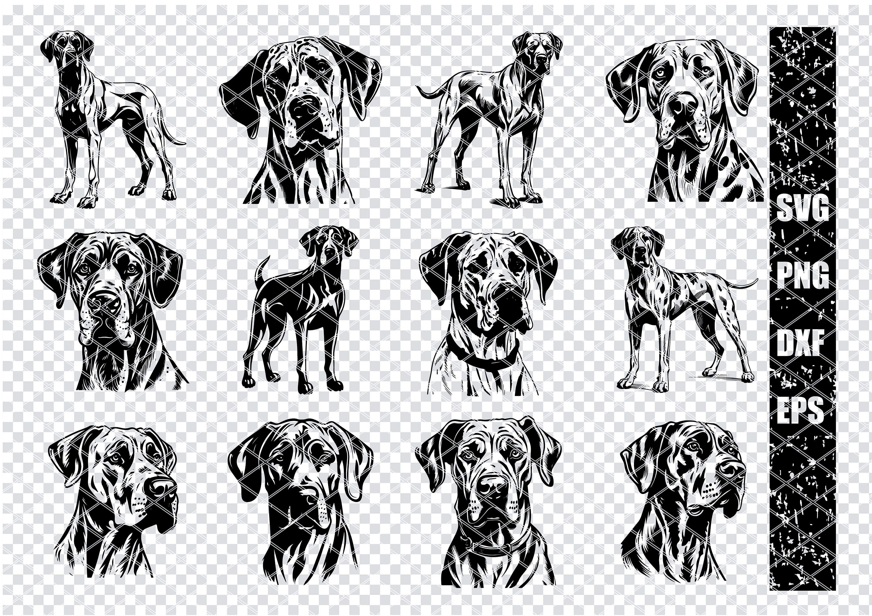 GREAT DANE DOG Svg, Great Dane Large Canine Svg Files for Cricut, Great ...