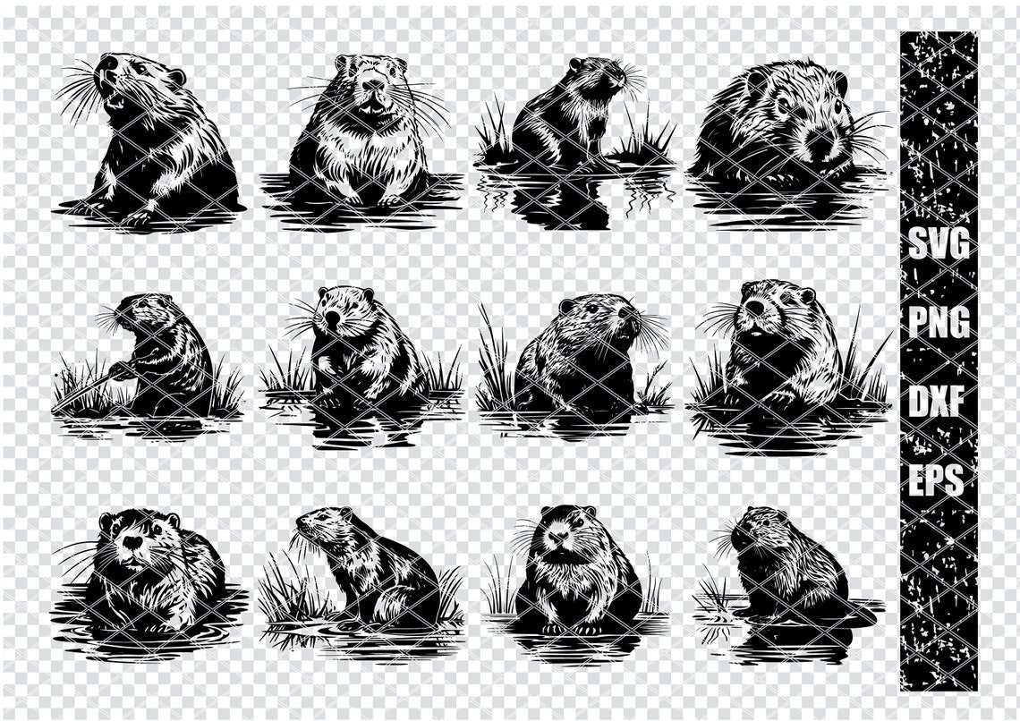 WILD BEAVER SVG, River Beaver Svg Files for Cricut, Mammal Beaver ...