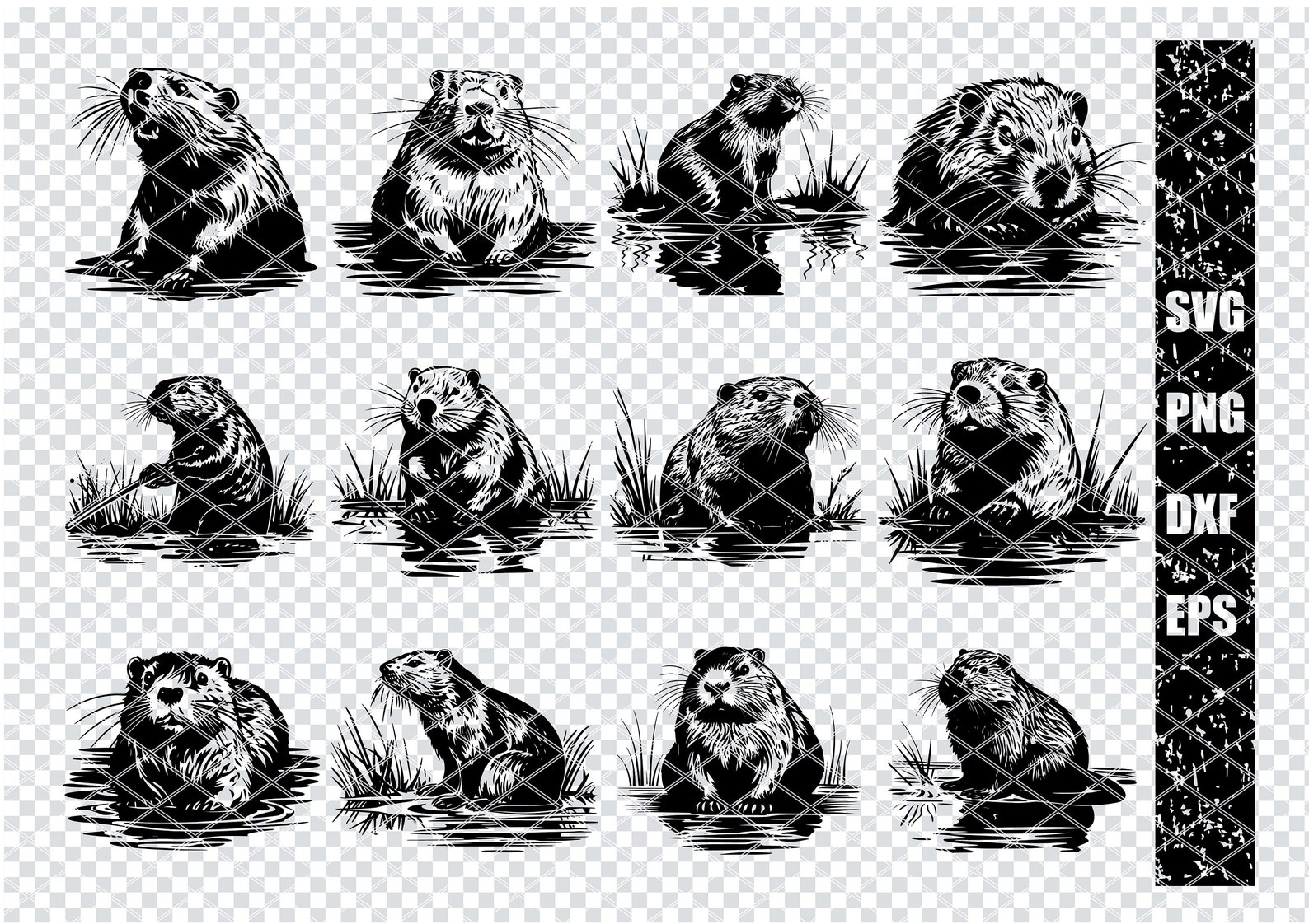 WILD BEAVER SVG, River Beaver Svg Files for Cricut, Mammal Beaver ...