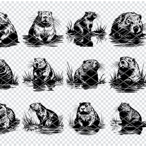 WILD BEAVER SVG, River Beaver Svg Files for Cricut, Mammal Beaver ...
