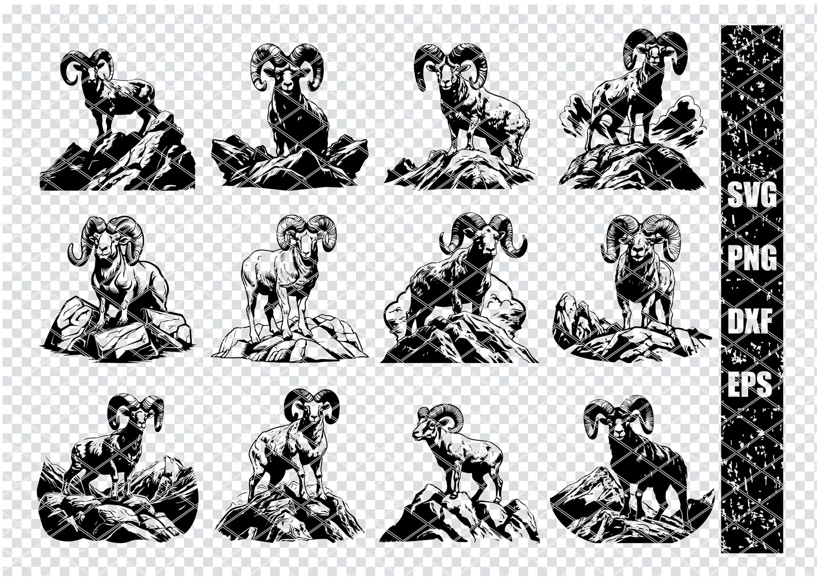 BIGHORN RAM SHEEP Svg, Bighorn Ram Ovis Svg Files for Cricut, Bighorn ...