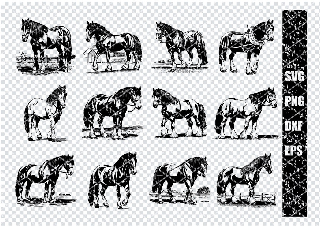 SHIRE DRAFT HORSE Svg, British Working Horse Svg Files for Cricut ...