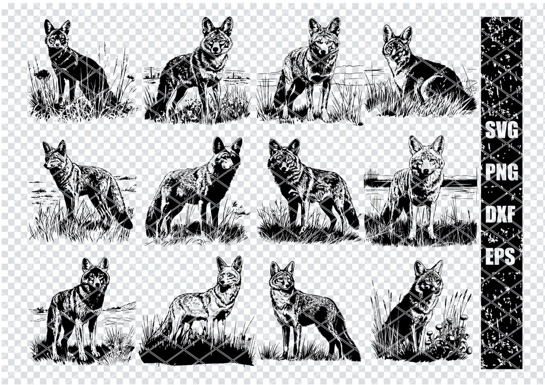 DESERT COYOTE SVG, Desert Jackal Svg Files for Cricut, Coyote Dog ...
