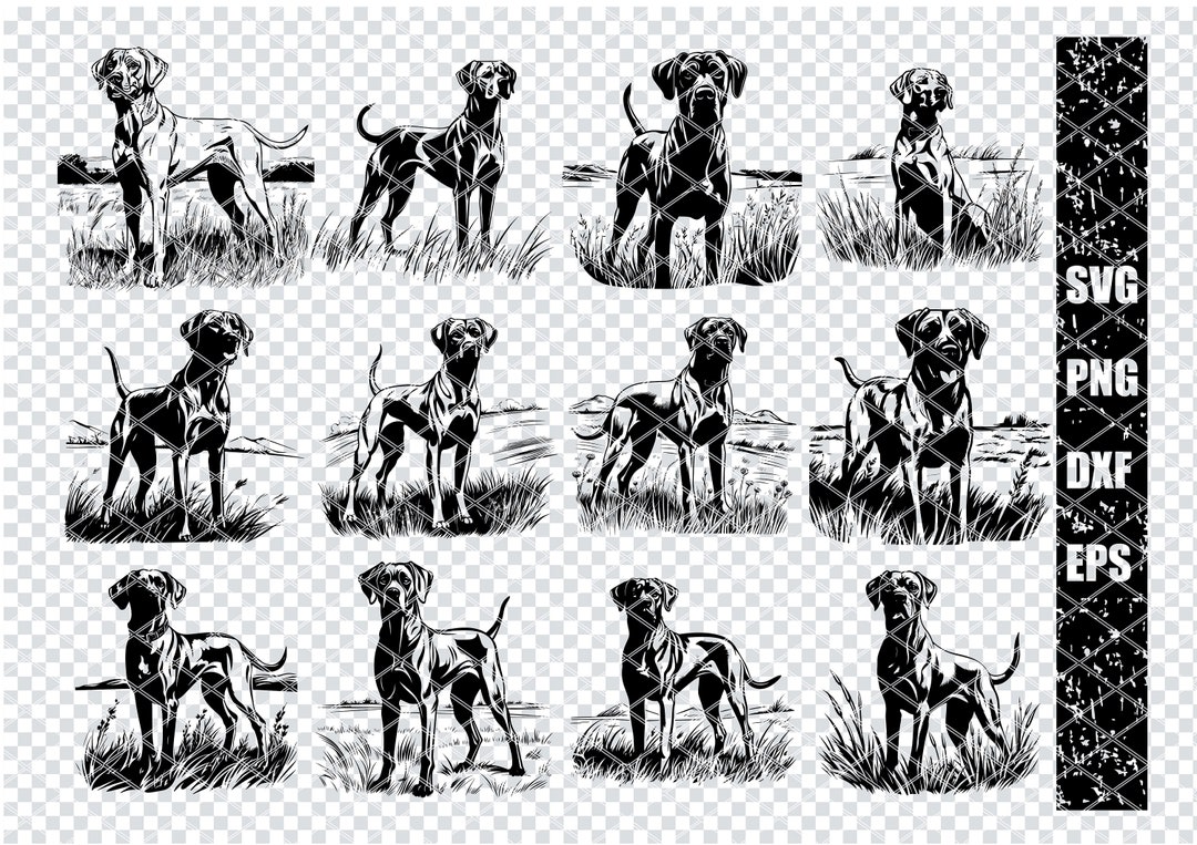 RHODESIAN RIDGEBACK DOG Svg, Rhodesian Ridgeback Dog Breed Svg Files ...