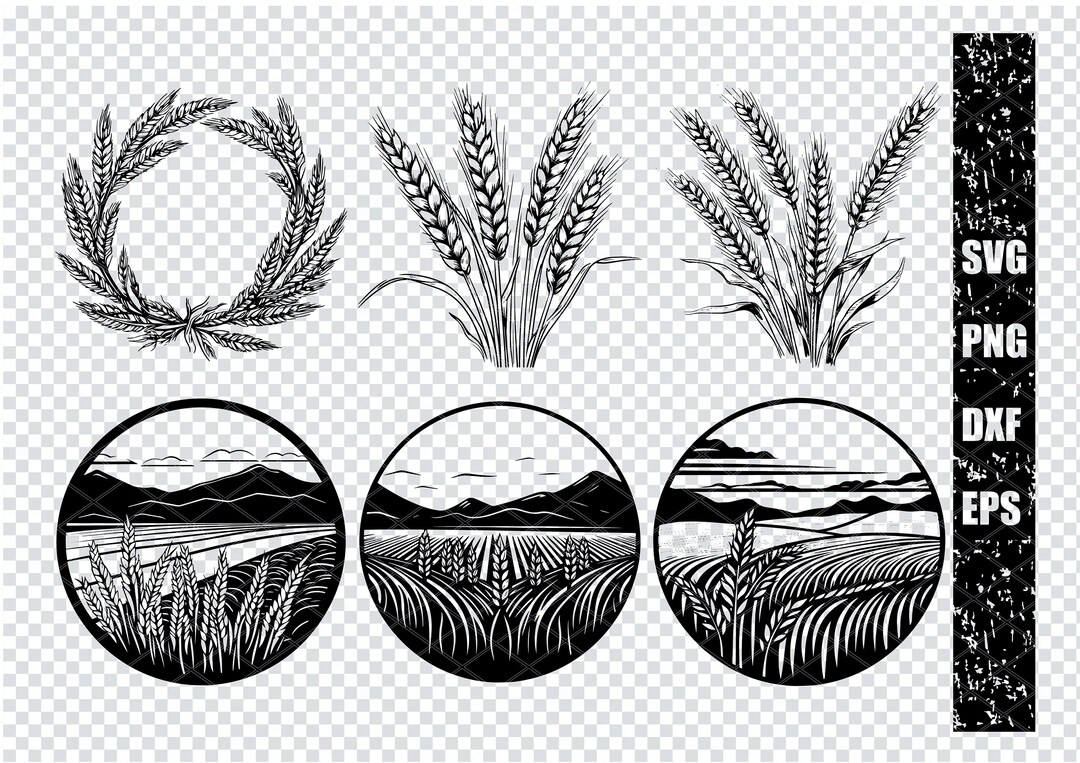 WHEAT SVG Bundle, GRAIN Svg Cut Files for Cricut, Wheat Clipart, Wheat ...