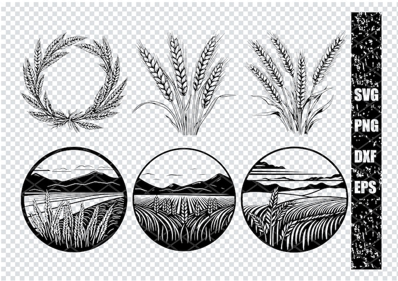 WHEAT SVG Bundle, GRAIN Svg Cut Files for Cricut, Wheat Clipart, Wheat ...