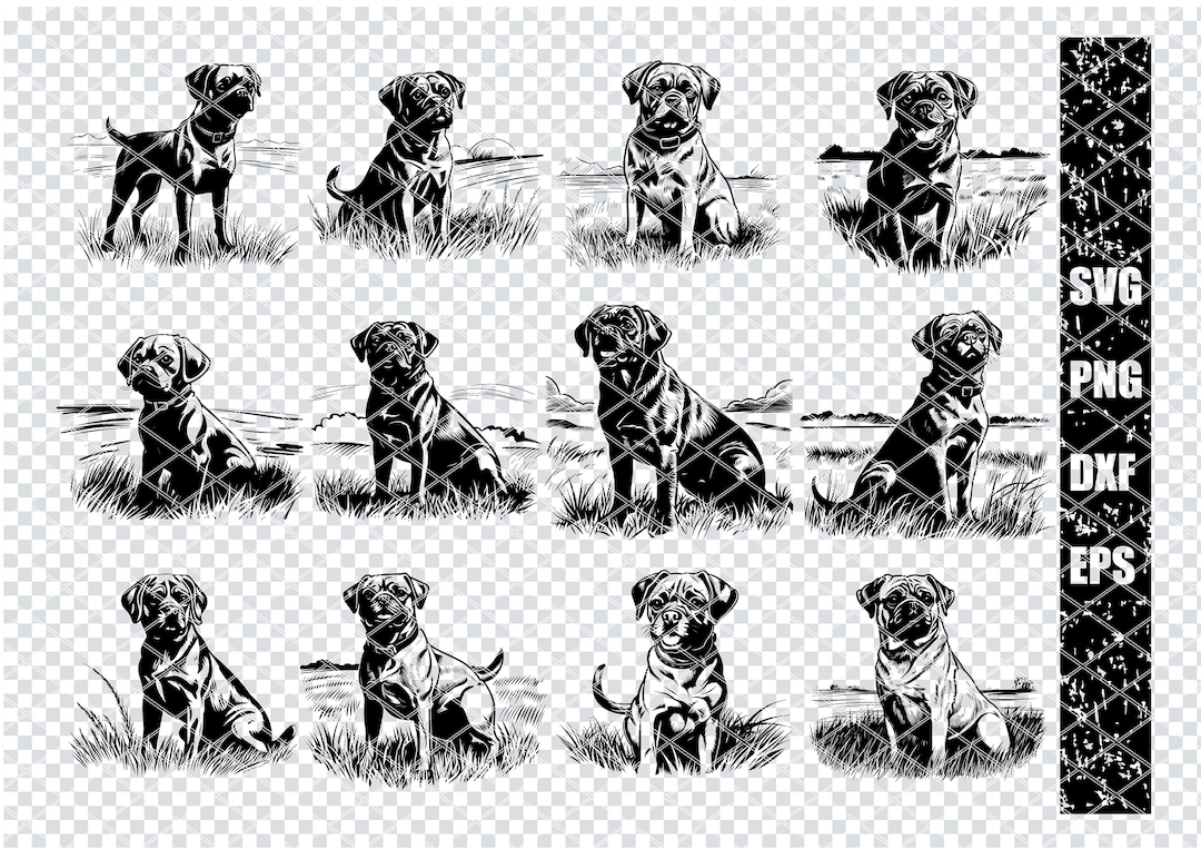 PUGGLE DOG Svg, Puggle Dog Dog Breed Svg Files for Cricut, Dog Lover ...