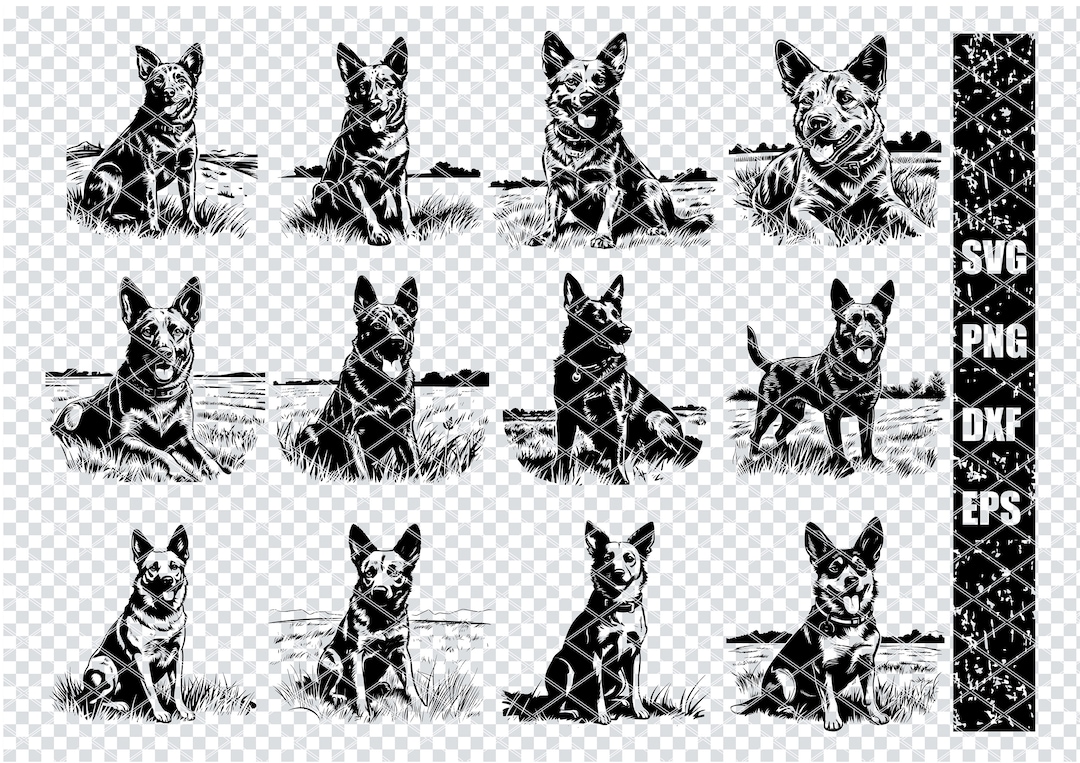 RED HEELER DOG Svg, Red Heeler Dog Breed Svg Files for Cricut, Dog ...
