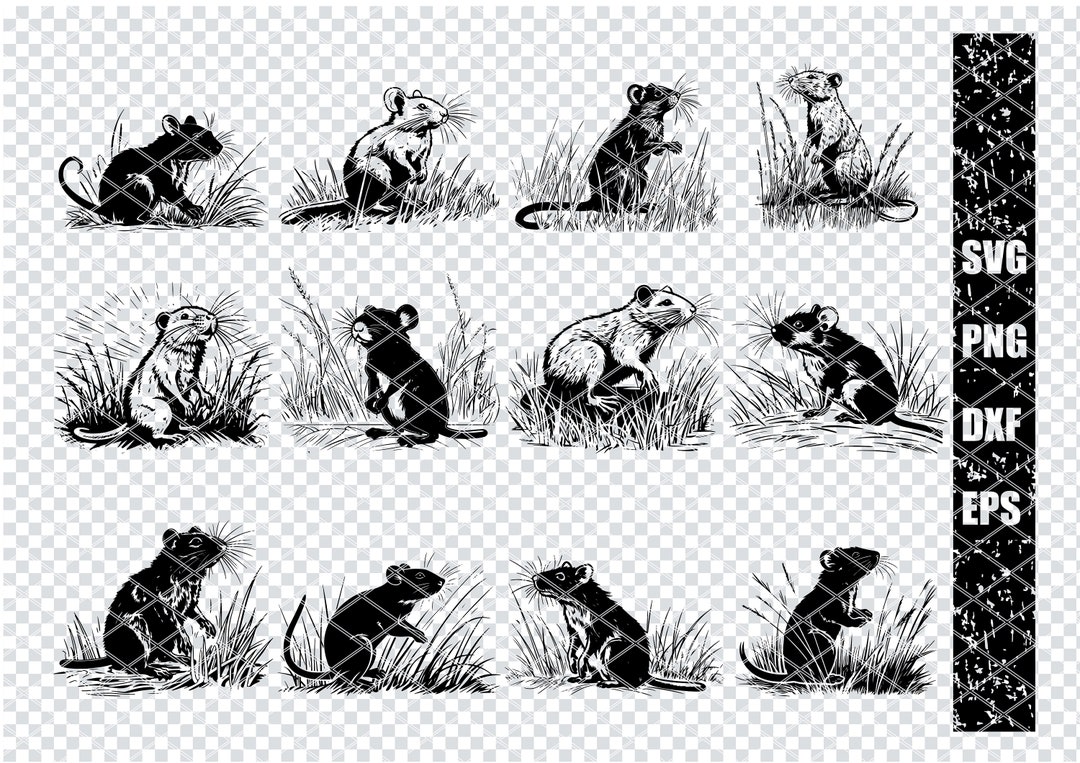 WILD RAT SVG, Rodent Svg Files for Cricut, Urban Rat Pest Clipart ...